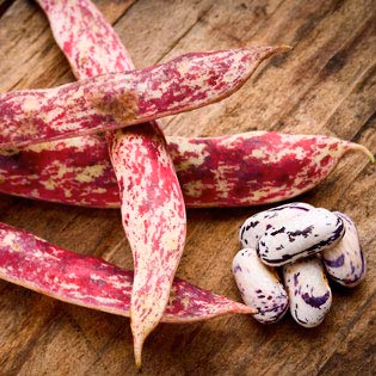 French Horticulture Bean Seeds for Planting, 50+ Heirloom Seeds Per Packet, (Isla's Garden Seeds), Non GMO Seeds, aka. Borlotti Bean, Botanical Name: Phaseolus vulgaris, Great Home Garden Gift