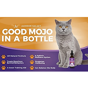 Jackson Galaxy: Bully Solution (2 oz.) - Pet Solution - Promotes Relaxation and Calmness - Can Support Bullying and Dominance - All-Natural Formula - Reiki Energy