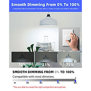 Lumiverse A19 LED Light Bulbs Dimmable, 5000k Daylight White 9.5 Watt [60w Equivalent], E26 LED Bulb Energy Efficient, UL Listed (5000k, Pack of 12)