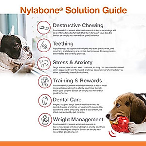 Nylabone Power Chew Rawhide Knot Chew Bone Large - Up to 50 lbs.