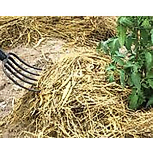 EZ-Straw Just Straw Clean Processed Straw – Multi Purpose - Small Bale (1 Cubic Foot)