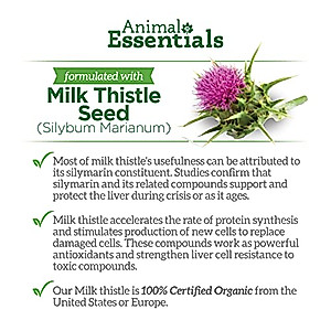 Animal Essentials Liver Defense Liver Support for Dogs & Cats, 1 fl oz - Made in USA, Dandelion & Milk Thistle