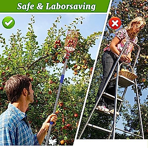 Fruit Picker, 10FT Long Handle Fruit Picker with Basket, Fruit Catcher Tool for Apple Mango Pear Orange Avocado Lemon Citrus Tree Picker