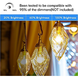 VOLIVO 24 Pack Vintage LED Bulbs, A19 Dimmable LED Light Bulb, 2700K Warm White, 60W Equivalent, CRI 80+, Clear Glass Filament Bulbs, 7W, E26 Standard Base, Classic Edison Antique Style Bulbs for Home