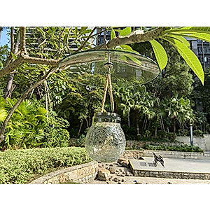 13 Inches Clear Glass Weather Guard and Squirrel Baffler for Wild Bird Feeders (Clear 1Pack)