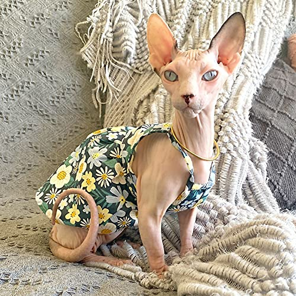 Hairless Cat Clothes - Breathable Summer Cotton Sundress with Sunflower Print Suspender Skirt Elegant Romantic Girly Vest Soft Princess Dress for Sphynx, Cornish Rex, Devon Rex, Peterbald (XS)