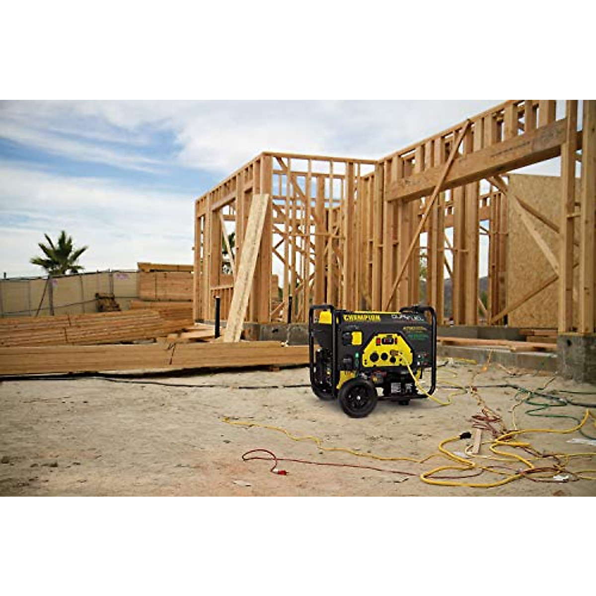 Champion Power Equipment 76533 4750/3800-Watt Dual Fuel RV Ready Portable Generator with Electric Start