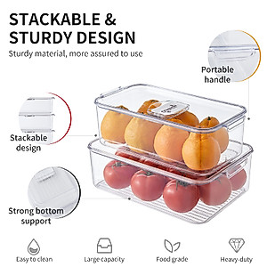 VELMADE Food Storage Containers with Lids 2 PCs, Airtight Food Containers for Kitchen Organization, Pantry Storage for Fridge, Refrigerator & Freezer, Fresh Keeper with Steam Vents, Clear