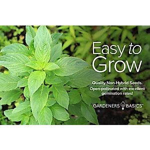 Thai Basil Seeds for Planting Herbs - Heirloom Non-GMO Herb Plant Seeds for Home Herb Garden Indoors, Outdoors, and Hydroponics by Gardeners Basics