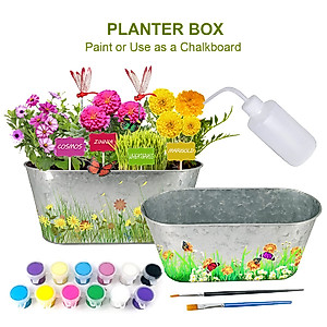 Wenzhuo Paint & Plant Flower Growing Kits-Planter,Soil-Kids Gardeing kit Toys，DIY STEM Arts & Crafts Project Activity,Unique Science and Garden Gift for Girls & Boys Age 5 6 7 8-12