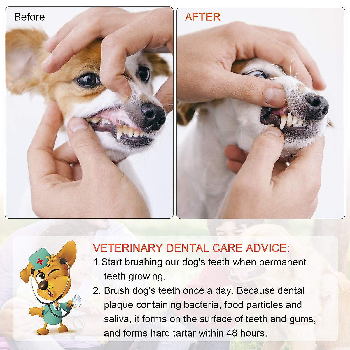 EASYA Double Headed Pet Dog Toothbrush for Small Dogs/Soft Bristles Puppy Long Handle Tooth Brush Dogs Teeth Cleaning/Bulk Toothbrushes Dental & Oral Care… (MIXED10)