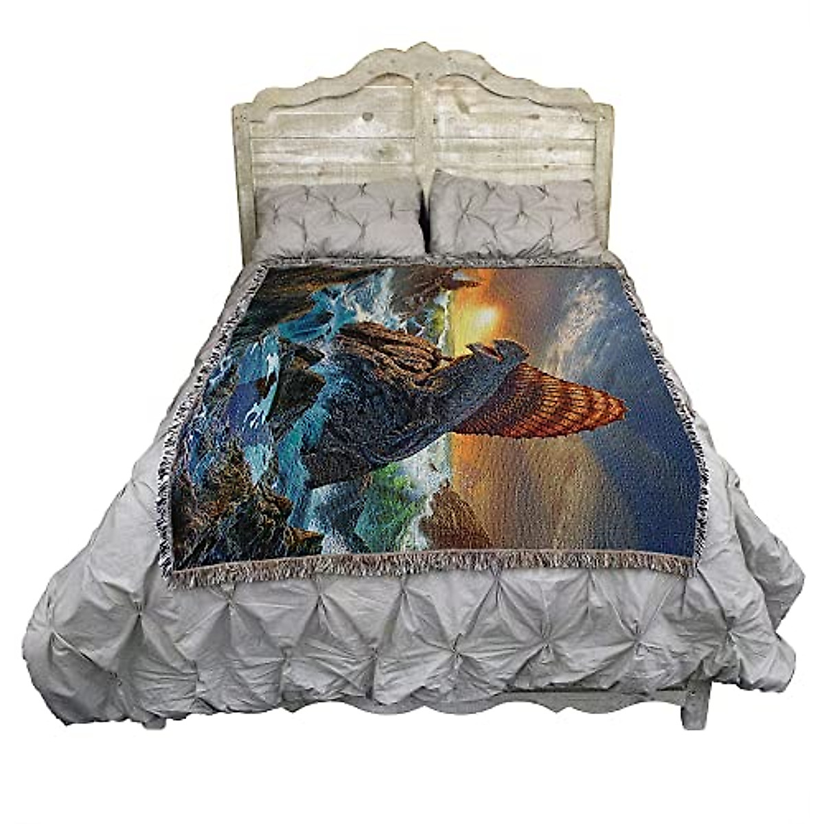 Pure Country Weavers Dimetrodon Blanket by Jerry LoFaro - Dinasour Prehistoric Gift Tapestry Throw Woven from Cotton - Made in The USA (72x54)