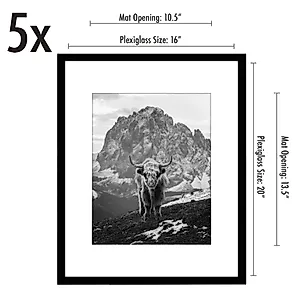 Americanflat 16x20 Picture Frame with Polished Plexiglass - Set of 5 - Use as 11x14 Frame with Mat or 16x20 Frame Without Mat - Galleria Collection - Gallery Wall Frame Set for Wall Display - Black