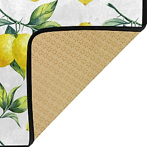 SLHKPNS Lemon Kitchen Rug Non-Slip Lemon Kitchen Mat Rug Comfort Runner Doormat 39x20 Inch Soft Floor Mat for Home Kitchen Decor