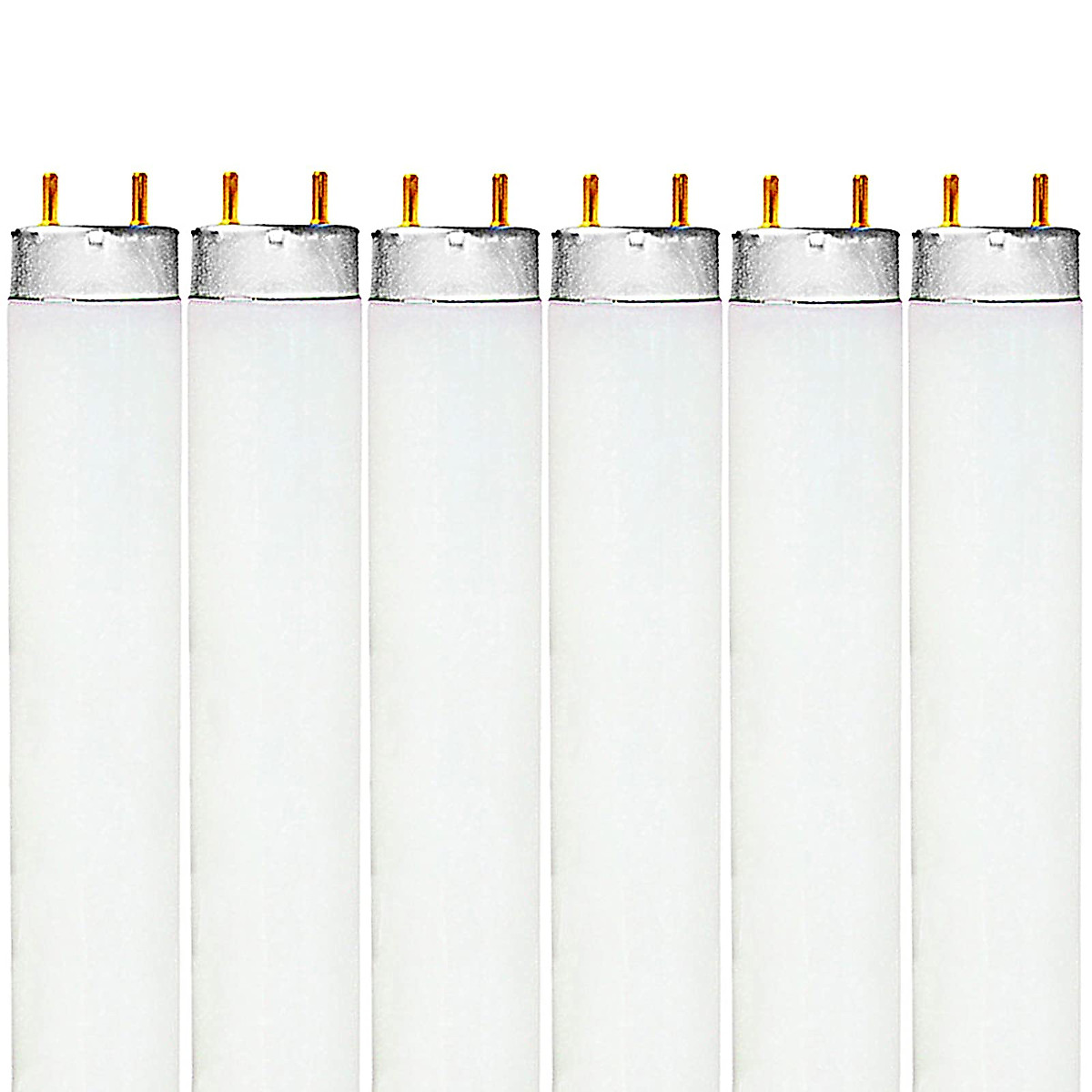 LUXRITE F17T8/865 17W 24 Inch T8 Fluorescent Tube Light Bulb, 6500K Daylight, 1350 Lumens, G13 Medium Bi-Pin Base, LR20755, 6-Pack