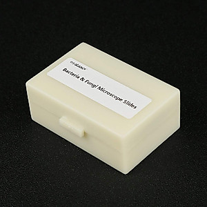 Prepared Bacteria and Fungi Microscope Slide Set, 9pcs Slides for Biology Teacher Students Micro Organisms Science Education