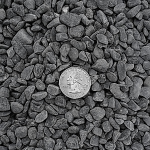 Mr. Fireglass Natural Decorative Gray Bean Pebbles 1/5" Crushed Gravel Stone for Decorating Garden, Succulent Plants and Walkway (2-lb Bag)