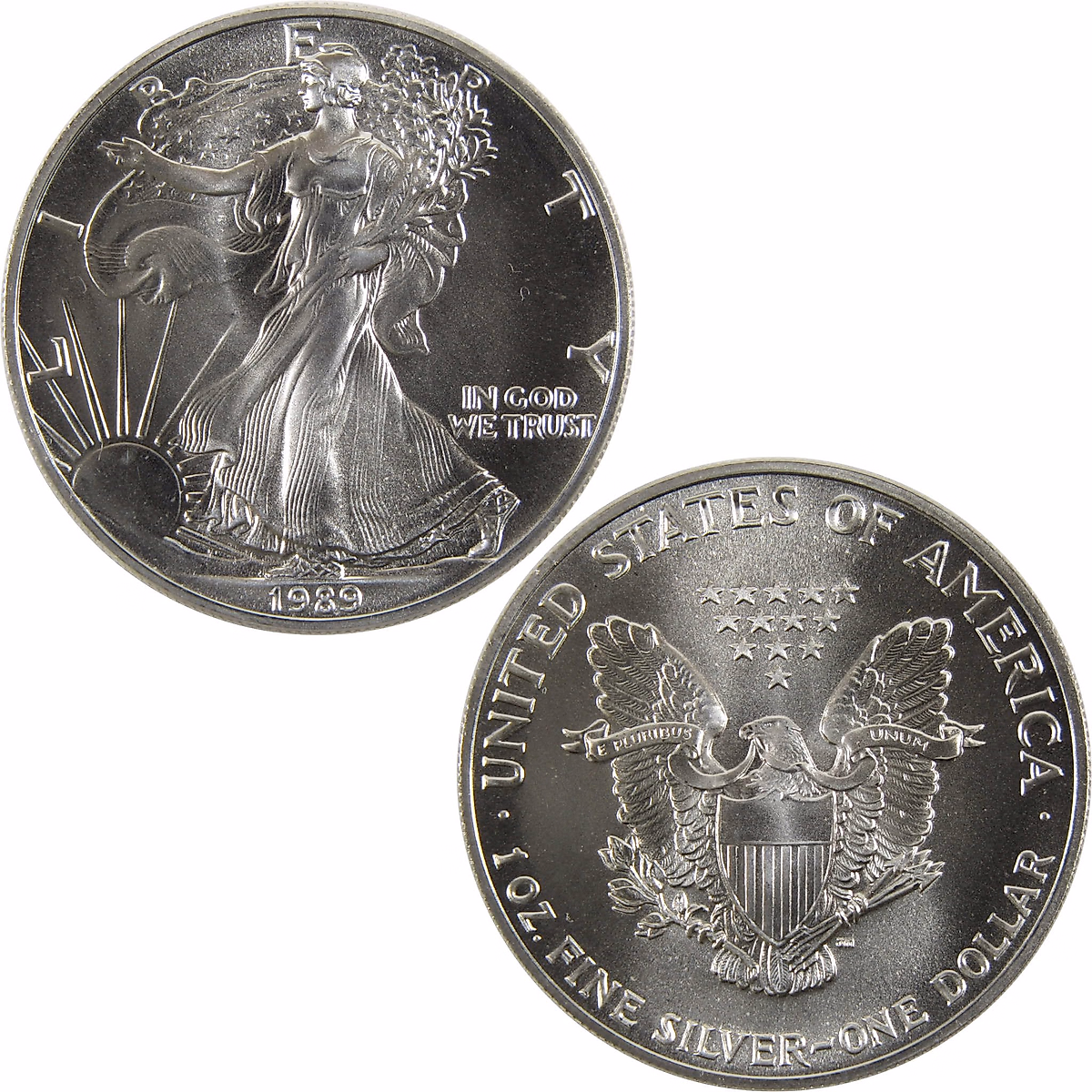 1989 American Silver Eagle BU Brilliant Uncirculated Bullion $1 Coin