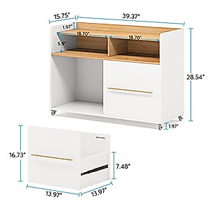 LITTLE TREE 2 Drawer File Cabinet Rolling Filing Cabinets with Wheels, Lateral File Cabinet for Letter Size, Printer Stand and Open Storage Shelves for Home Office, White