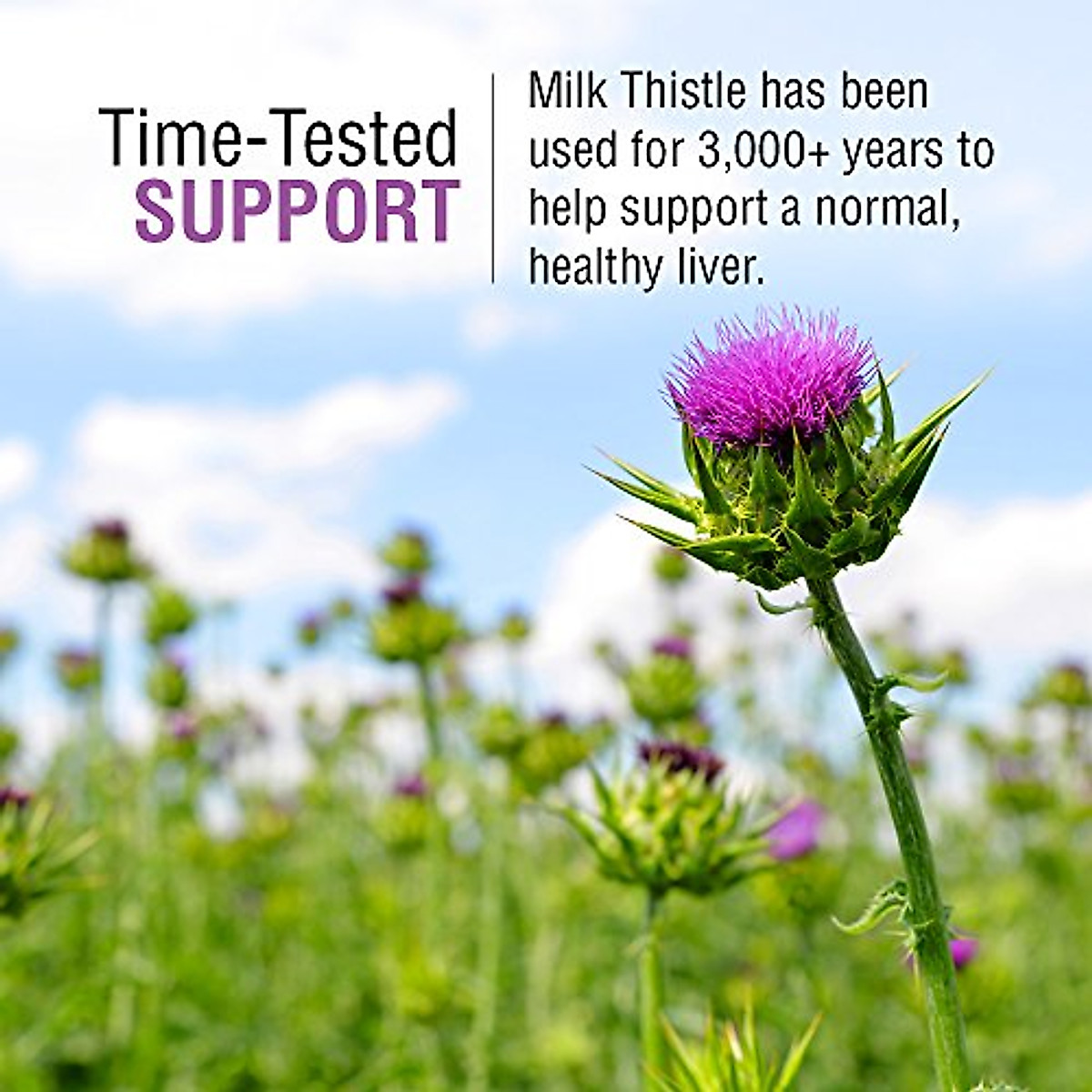 SOLARAY Milk Thistle Seed Extract 175mg | Antioxidant Intended to Help Support a Normal, Healthy Liver | Non-GMO & Vegan | 120 VegCaps