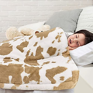 THSOBNHE Weighted Heated Blanket, 36 * 48 Small Weighted Heating Blanket (5 lbs) with 12 Heat Levels & 1-24H Auto Off, Small Size Heavy Sherpa Throw Blanket for Adult and Children