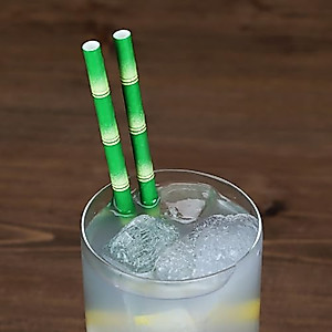 ALINK Bamboo Print Paper Straws, Biodegradable Disposable Party Drinking Straws for Juices, Shakes and Smoothies, Pack of 100