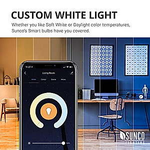 Sunco Lighting BR30 Alexa Smart Flood Light Bulbs, Color Changing LED Recessed WiFi Bulb, 8W, RGBCW, Dimmable, 650 LM, Compatible with Alexa & Google Assistant, E26 Base, No Hub Required 2 Pack