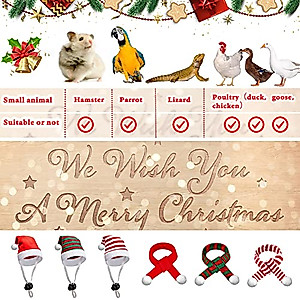 12 Pcs Christmas Pet Chicken Hat Scarf Set Mini Red Green Santa Hat Scarf Xmas Small Animal Hat with Adjustable Chin Strap for Hen Duck Hamster Guinea Pig Kitty Puppy Parrot(Stripe Style, Small)