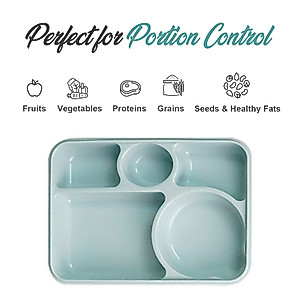 carrotez Portion Control Plate, Microwave Food Storage Tray, 5 Compartment Divided Plate with Lid, Top Rack Dishwasher Safe, BPA Free
