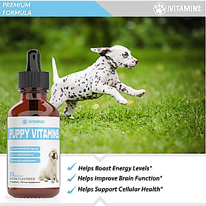 Puppy Vitamins | Puppy Supplements | Puppy Vitamins for Small Dogs | Puppy Vitamins Large Breed | Puppy Multivitamin | Puppy Vitamins and Supplements | Liquid Puppy Vitamins | 1 fl oz: Bacon Flavor