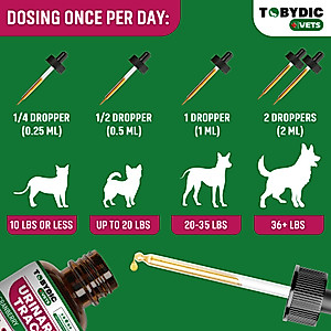 Cat & Dog Natural UTI Medicine & Urinary Tract Infection Treatment with Cranberry - Kidney + Bladder Support Supplement - Best Prevention for Urine Incontinence & Bladder Stones - Pet Renal Health