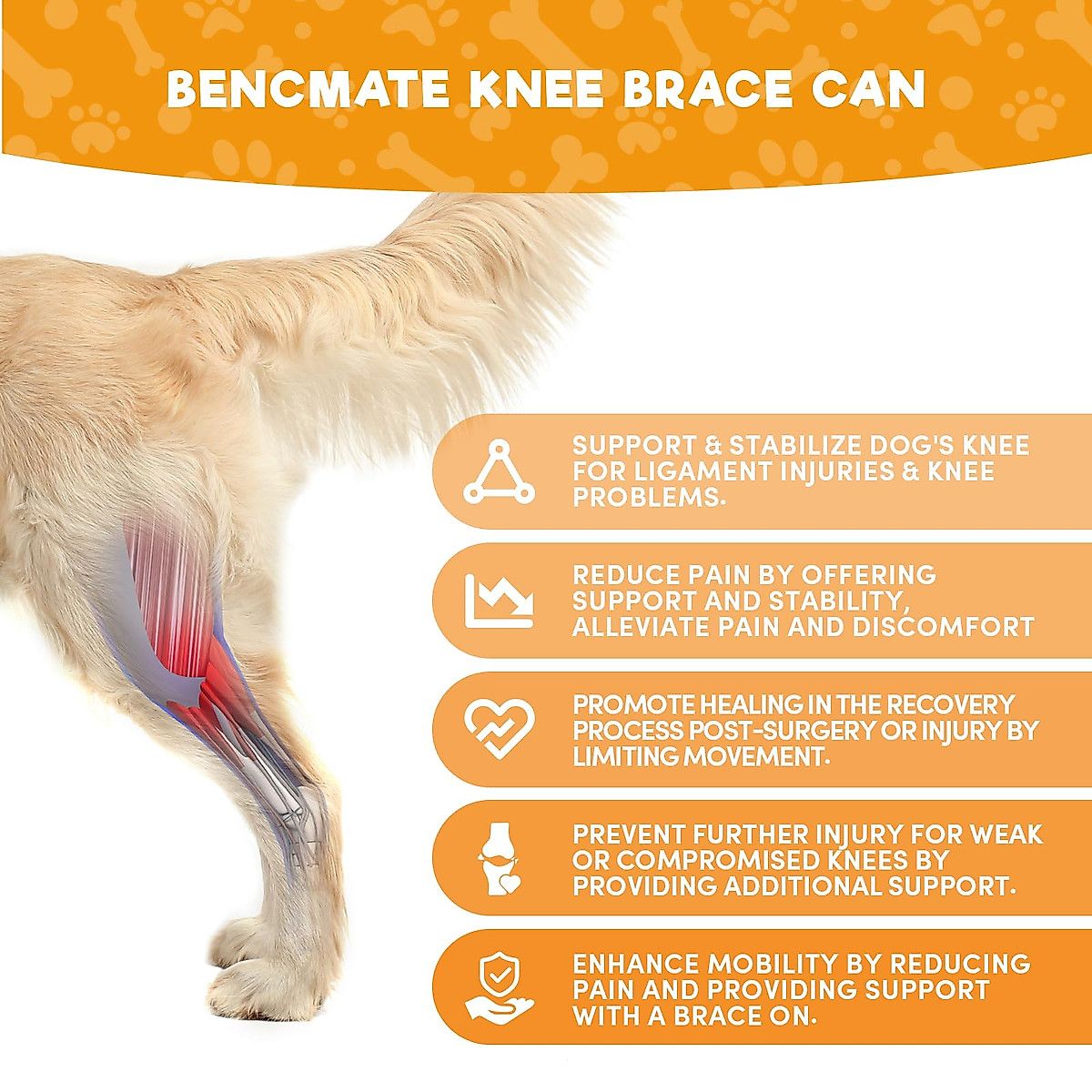 BENCMATE Adjustable Dog Knee Brace, Universal Designed for All Four Limbs, Dog ACL Hind Leg Brace, Dog CCL Brace, Support with Cruciate Ligament Injury, Joint Pain and Muscle Sore (Black, Large)