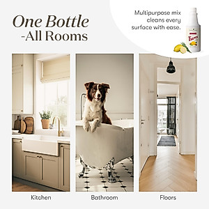 Young Living Thieves Household Cleaner - Ultra-Concentrated formula - 14.4 fl oz