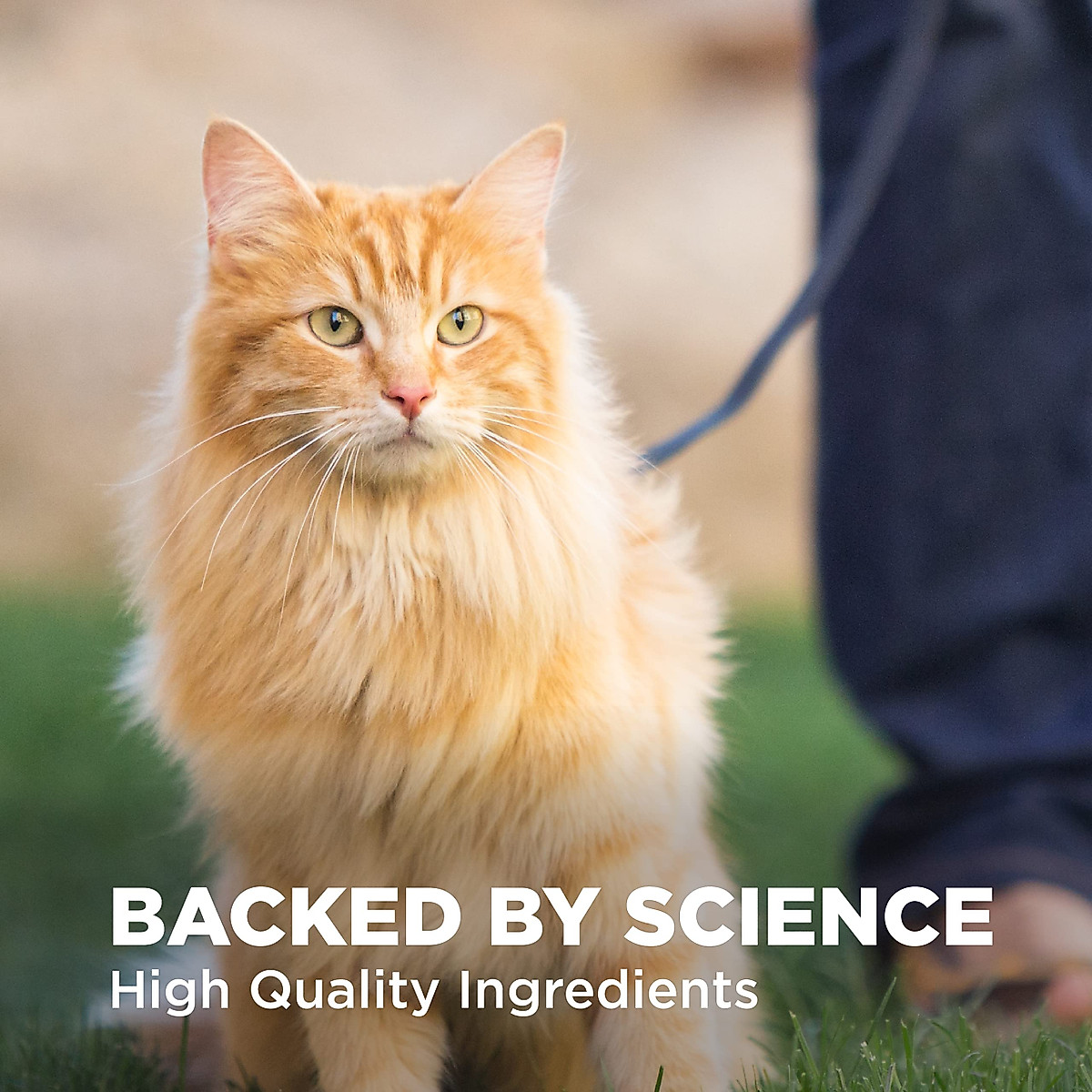 Nutramax Laboratories Dermaquin Skin Support Sm/Med Dogs 5-30 lbs ...