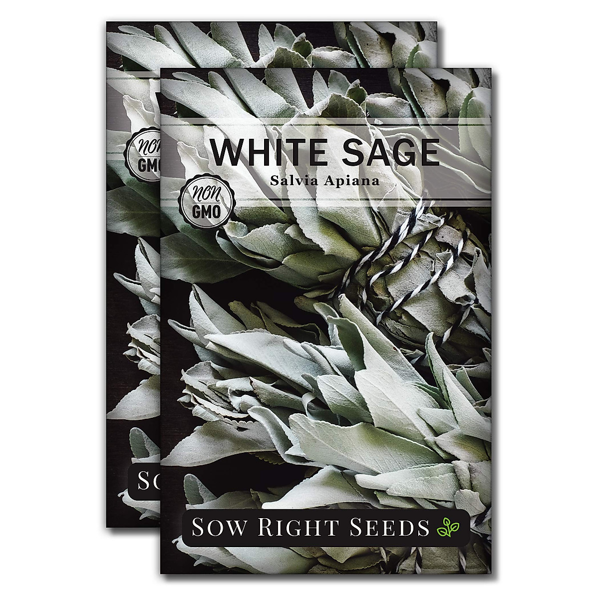 Sow Right Seeds - White Sage Seed for Planting - Non-GMO Heirloom Packet with Instructions for Planting and Growing a Home Herb Garden - Indoors or Outdoors - Make Your Own Herbal Incense (2)