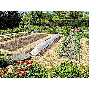 Organic Garden Straw (10lb) | Blue Mountain Hay | Straw Mulch for Raised Bed Gardens, Yard Landscaping, New Lawn Grass Seed Plantings, Tomato & Vegetable Compost & Fertilizer | Covers up to 150 sq ft