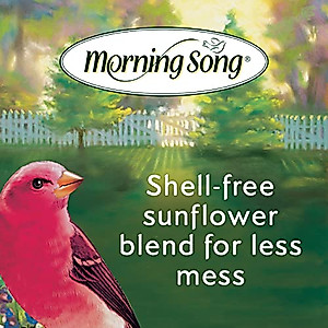 Morning Song Clean & Free Shell Free Wild Bird Food, Premium No Mess Bird Seed for Outside Feeders, 10-Pound Bag