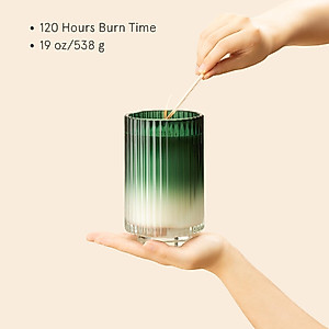 LA JOLIE MUSE Pomegranate & Pine Candle, Scented Candles for Home, Holiday Candle Gifts for Women&Men, Large Soy Candles, 120 Hours Long Burning Jar Candle, 19oz