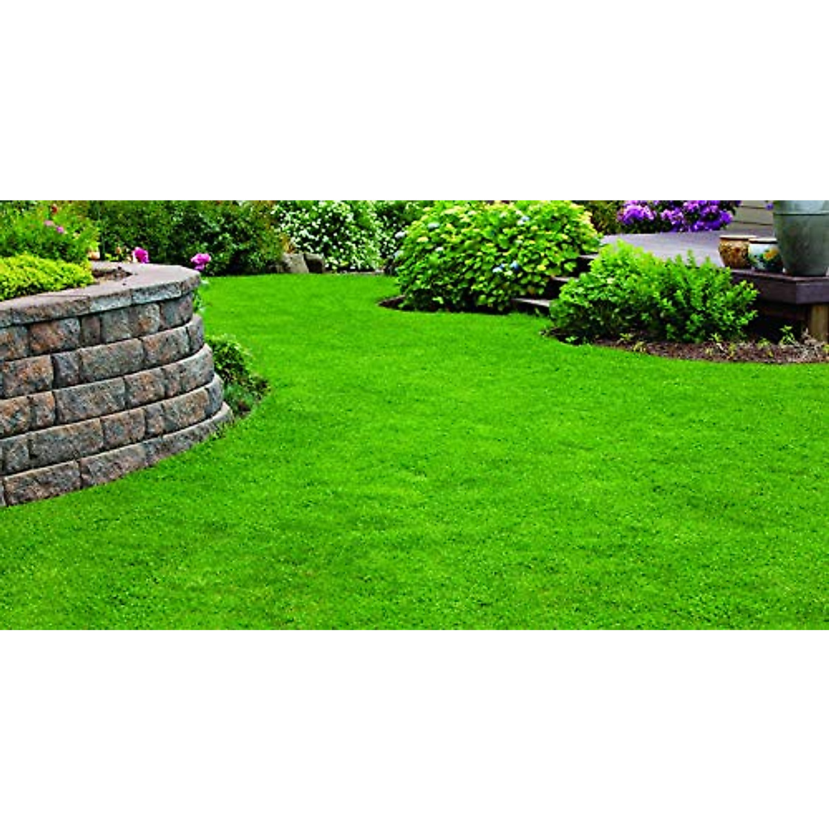 Microlawn Grass Seed & Microclover Mixture