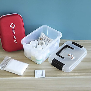 Nicesh 2 L Clear Mini Plastic Storage Box, Tiny Clear Storage Bin, 4-Pack