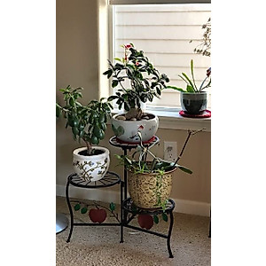 N.B.Y. 3 Tier Metal Plant Stand Indoor Outdoor Fold Waterproof Flower Plant Fit For Garden Balcony Patio Living Room Balcony Office Yard
