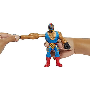 ​​WWE Basic Action Figures, Posable 5.5-inch Collectible for Ages 6 Years Old & Up