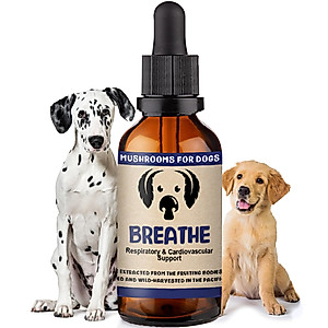 MycoDog Breathe Mushroom Extract & Adaptogen Tincture for Canines - Mushroom & Ashwagandha Supplements for Dogs with Breathing Challenges - Reishi Mushroom, Chaga, Cordyceps Mushroom & Artist Conk