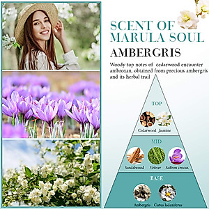 OPPEAL Marula Soul Travel Size Toiletries 5-Piece Set | 1 oz Shampoo, Conditioner, Body Wash & Body Lotion, Facial Soap | Ambergris Scent | 150 Pcs Total | Ample Bulk for Guests