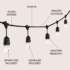 JONATHAN Y JYL8702A Indoor Outdoor Rustic Industrial LED S14 Edison Buld String Lights Garden Patio Backyard Porch Balcony, 48 ft. 15-Light, Black