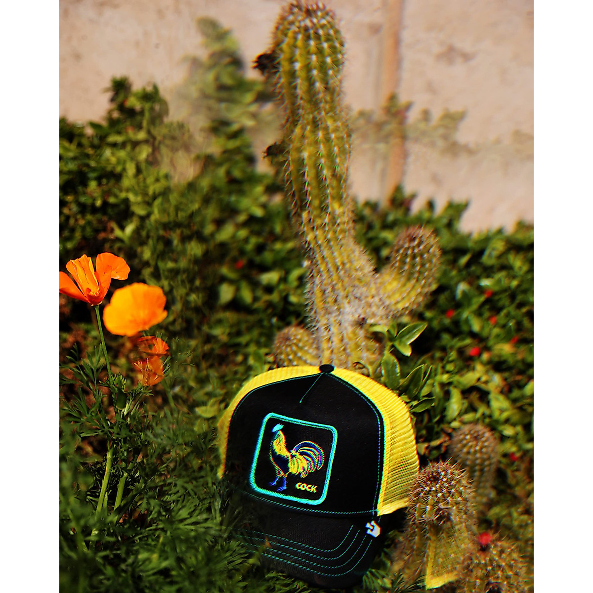 Goorin Bros. The Farm Acid Trip Collection Unisex Adjustable Trucker Cap, Black (Cock Trip), One Size