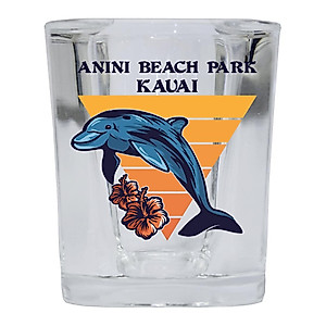 R and R Imports Anini Beach Park Kauai Beach Souvenir 2 oz Square Base Shot Glass Dolphin Design 2-Pack