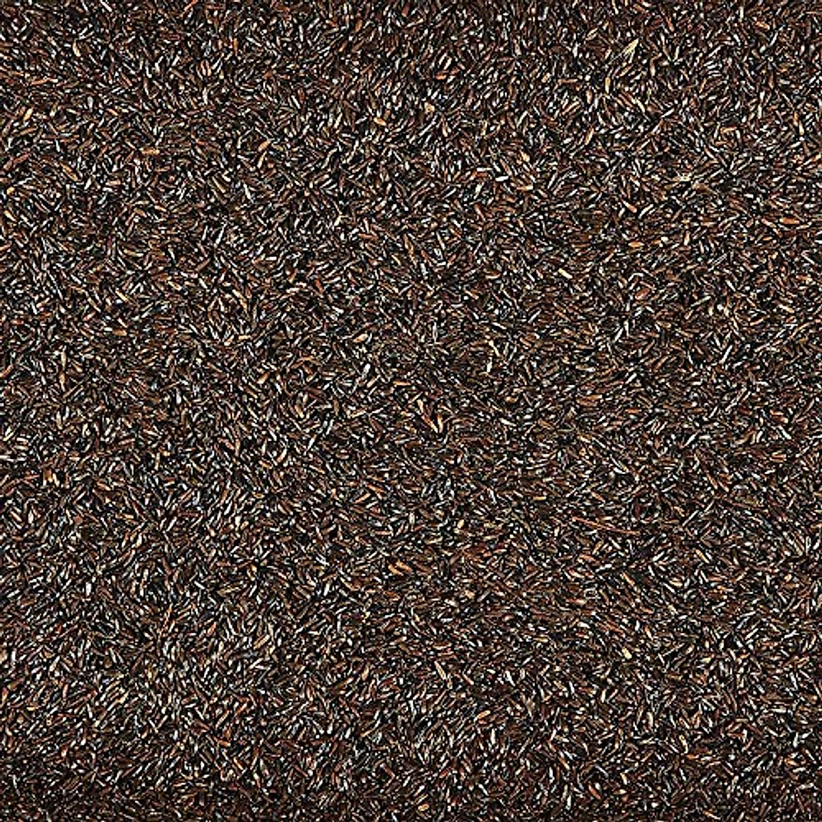 Kaytee Finch Station 2™ Soft Mesh Sock Feeder 4 Socks