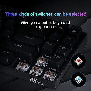 RK ROYAL KLUDGE RK71 Mechanical Keyboard 70% Compact Bluetooth Keyboard 71 Keys,Tenkeyless USB Wired/Wireless Portable Gaming/Office with Stand-Alone Arrow Keys for Windows MacOS (Brown Switch-Black)