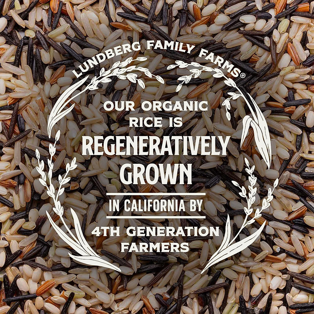 Lundberg Regenerative Organic Certified Wild Blend Rice – Brown, Red & Black Varieties, 32 Oz